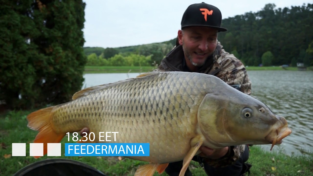 Feedermánia - YouTube