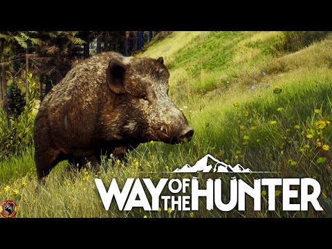 WAY OF THE HUNTER | CAZA EN COADA DE VULPE