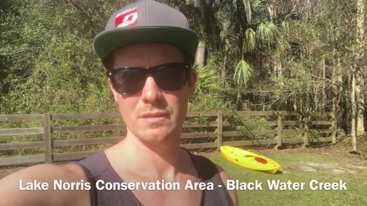 Kayaking Black Water Creek - Lake Norris Conservation Area - YouTube