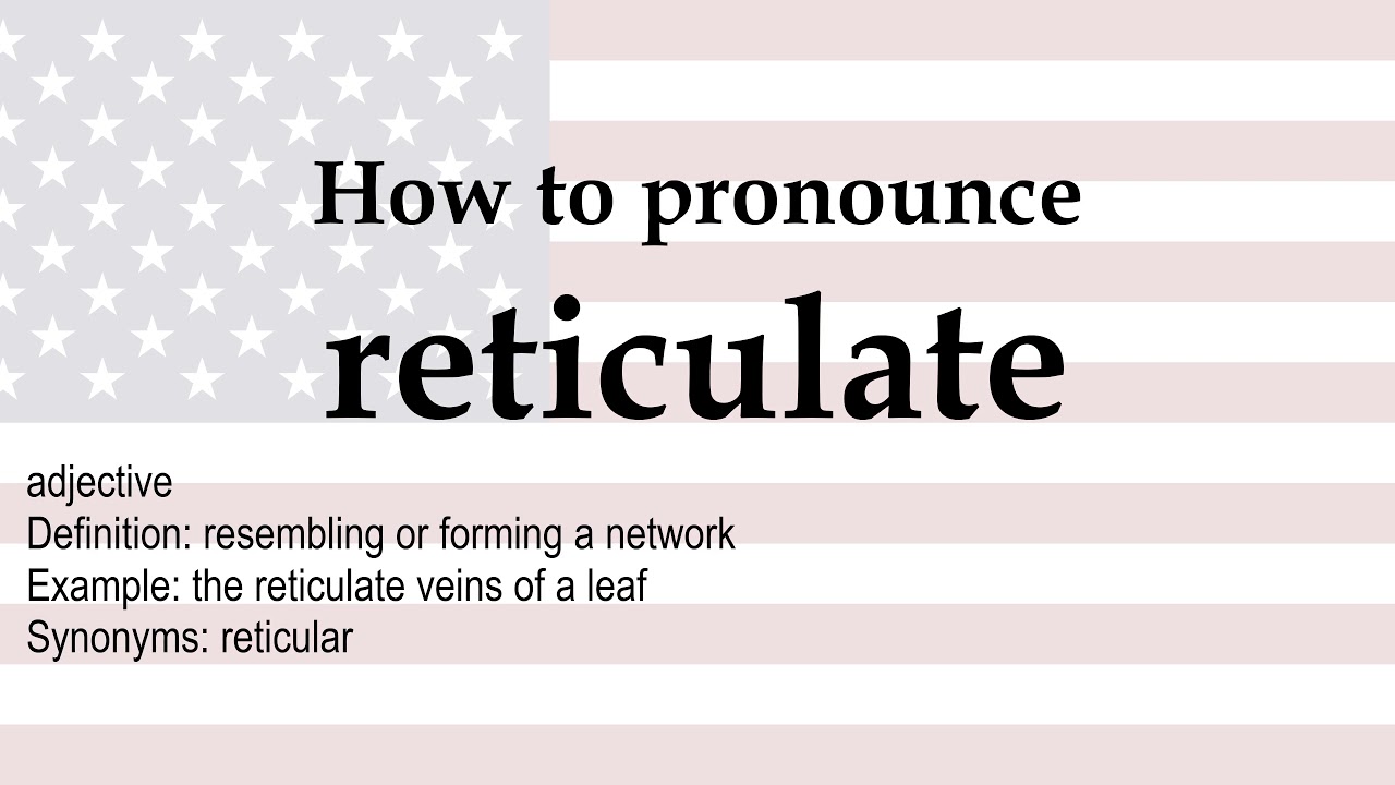 How to pronounce 'reticulate' + meaning - YouTube