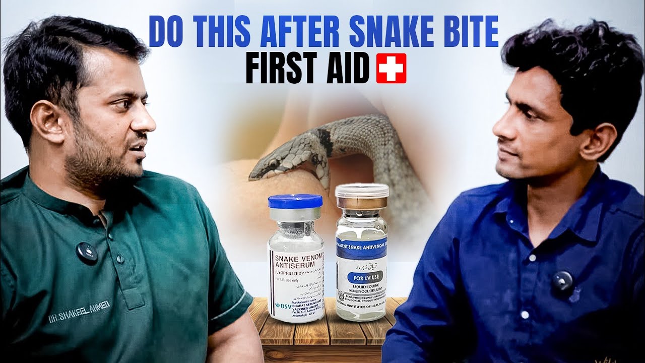 Snake bite First aid Explanation | Never do this after snake bite - YouTube