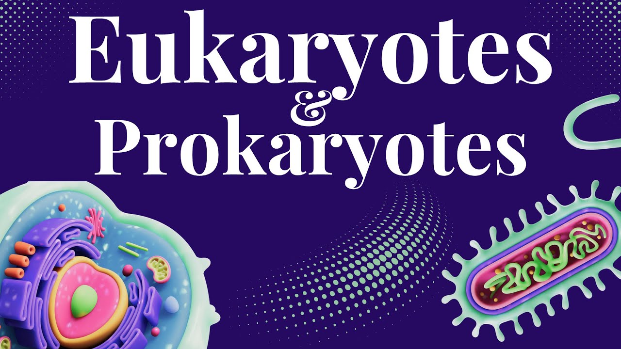 EUKARYOTES AND PROKARYOTES GCSE BIOLOGY - YouTube