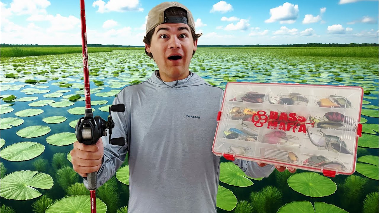 I created the ULTIMATE SUMMER tackle box for big fish! - YouTube