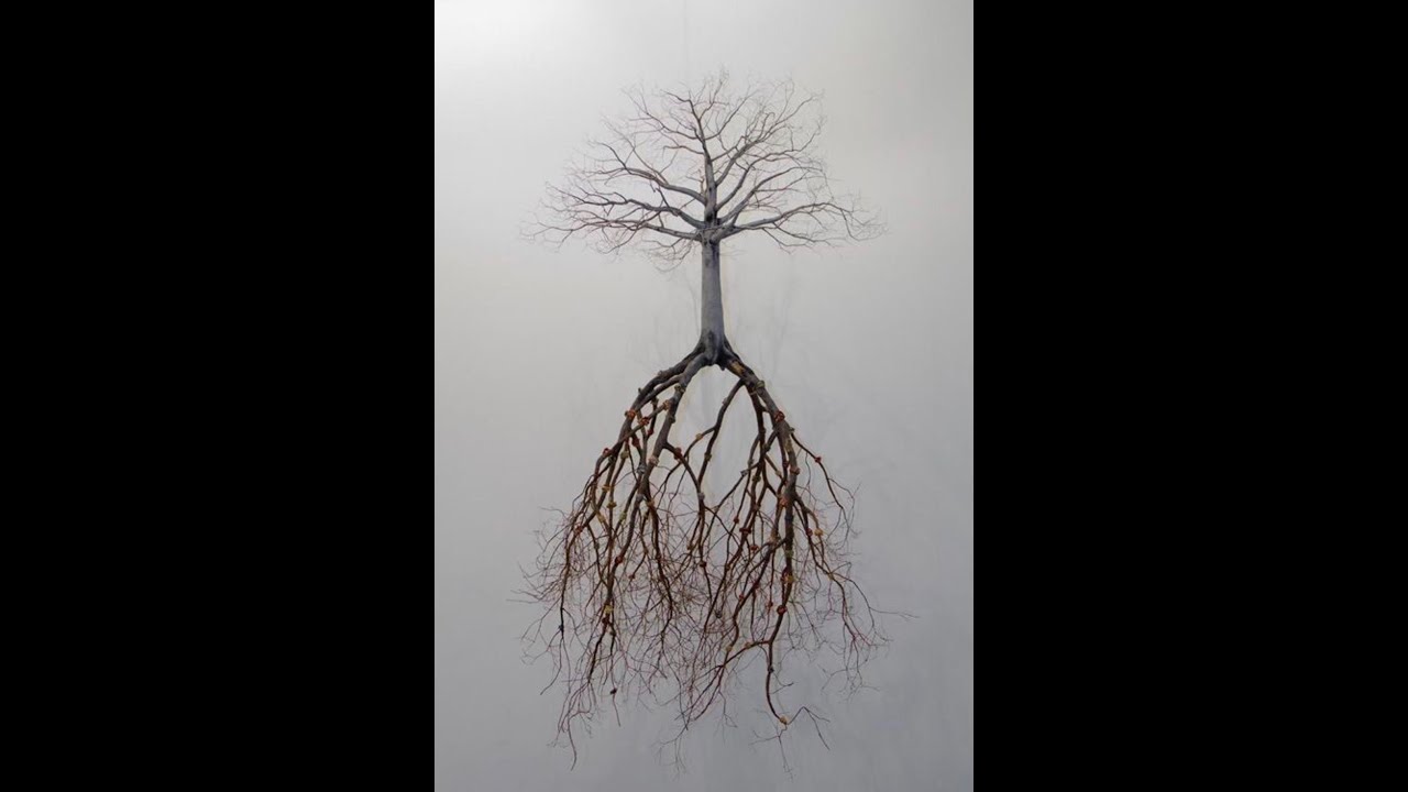 Ascension and Descension - YouTube