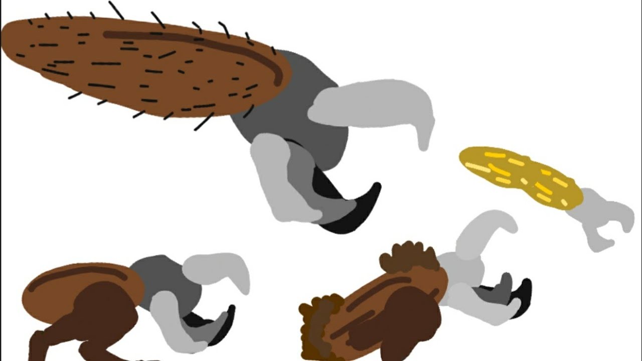 Graboid Life-Cycle - YouTube