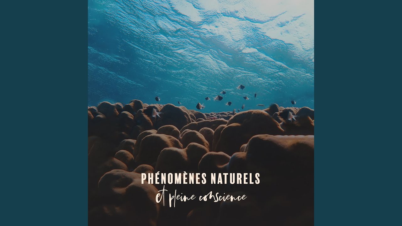Phénomènes naturels et pleine conscience - YouTube