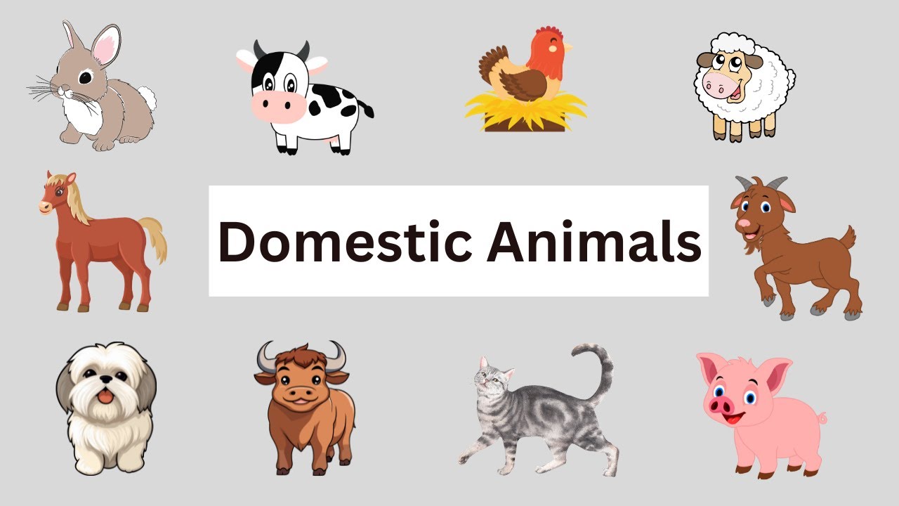Exploring Domestic Animal and their Sounds: Fun and Educational Kids ...
