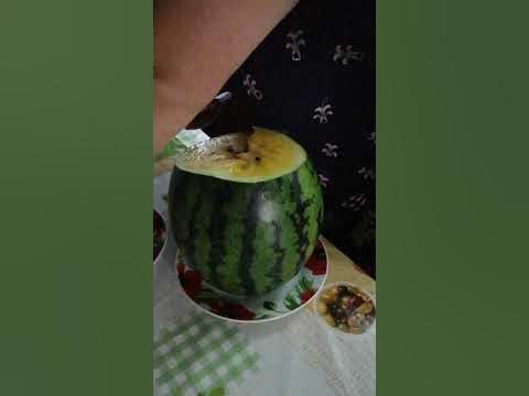 Арбузик - YouTube