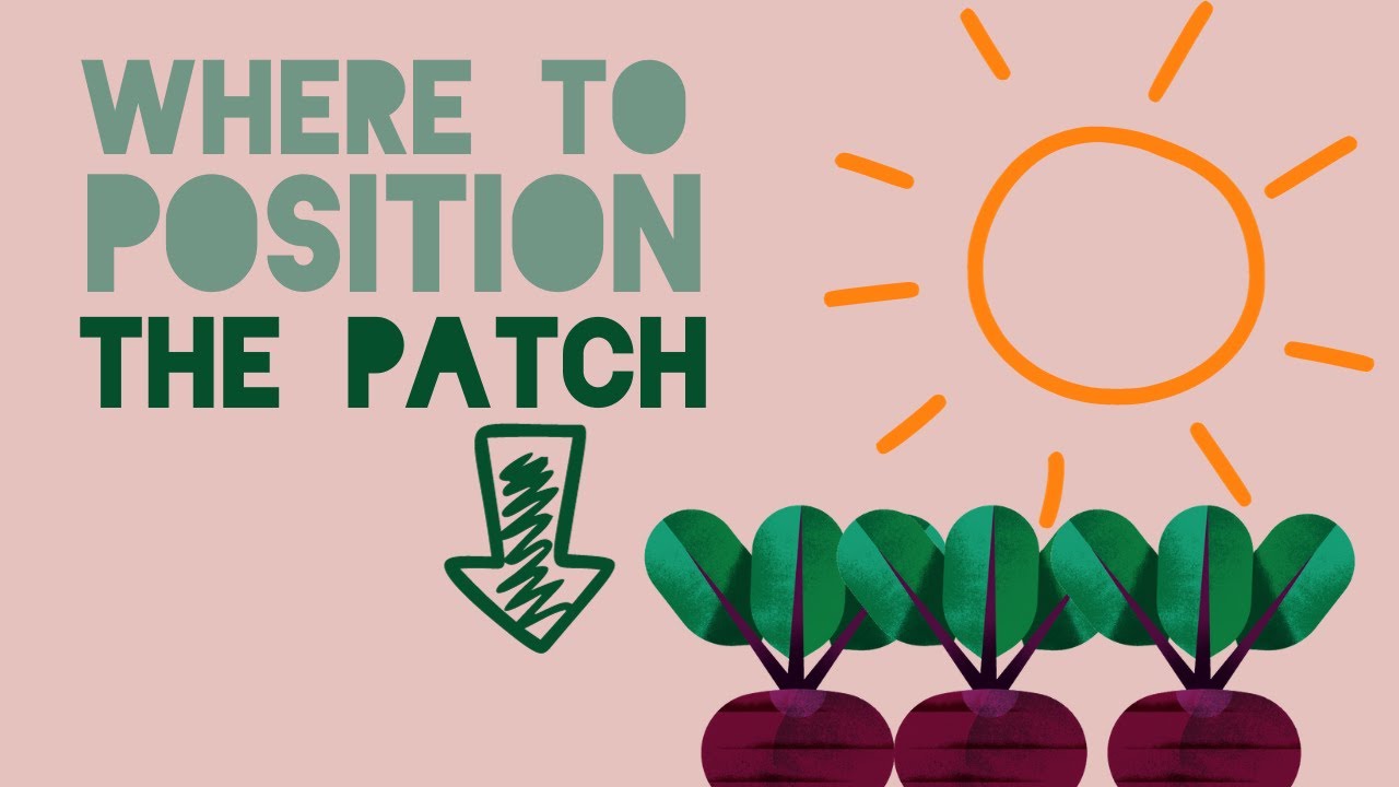 Where is the best to position for the vegetable garden? - YouTube