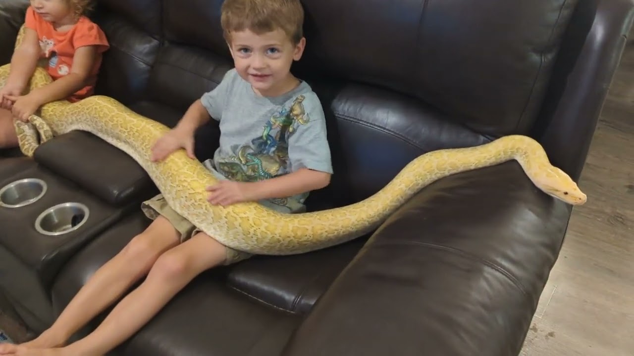 Little Kids love their big Burmese python - YouTube