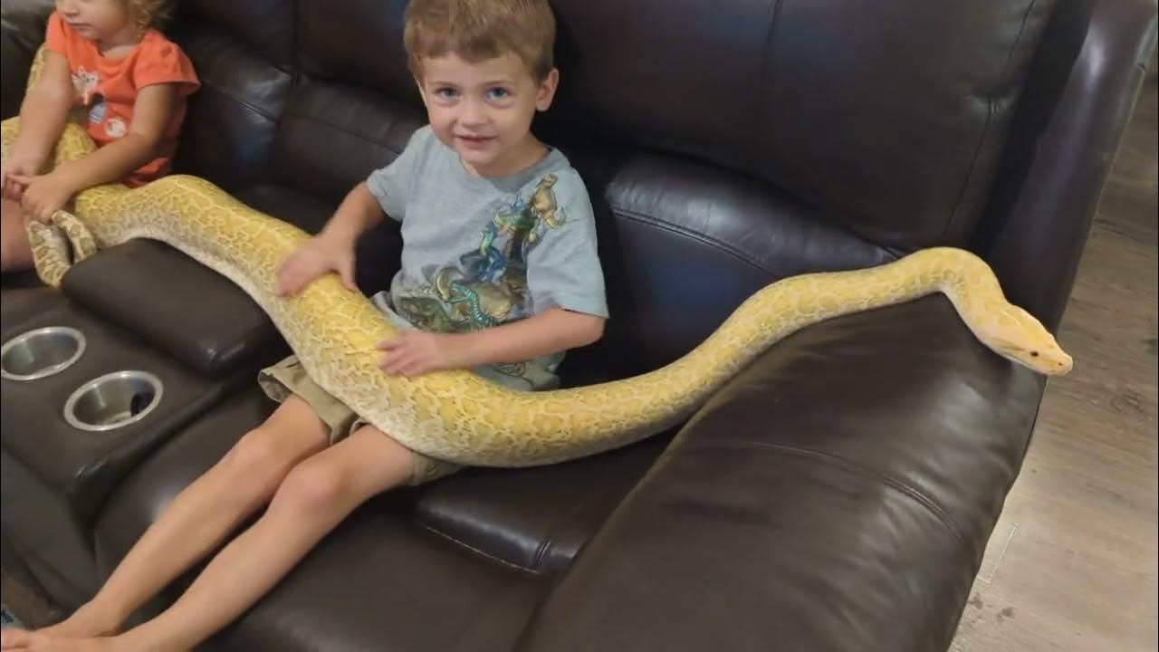 Little Kids love their big Burmese python - YouTube