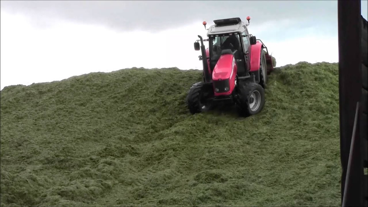 Massey Ferguson tractor and buckrake-steep! - YouTube