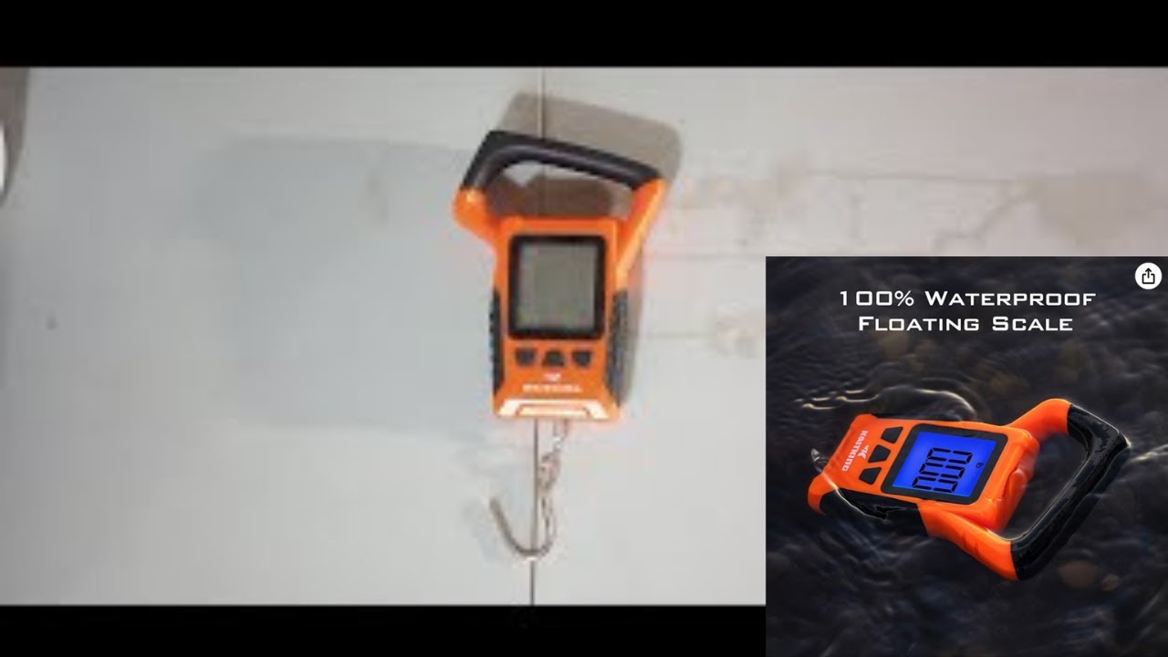 KastKing Fish Scale, WideView Floating Waterproof Digital Scale Review ...