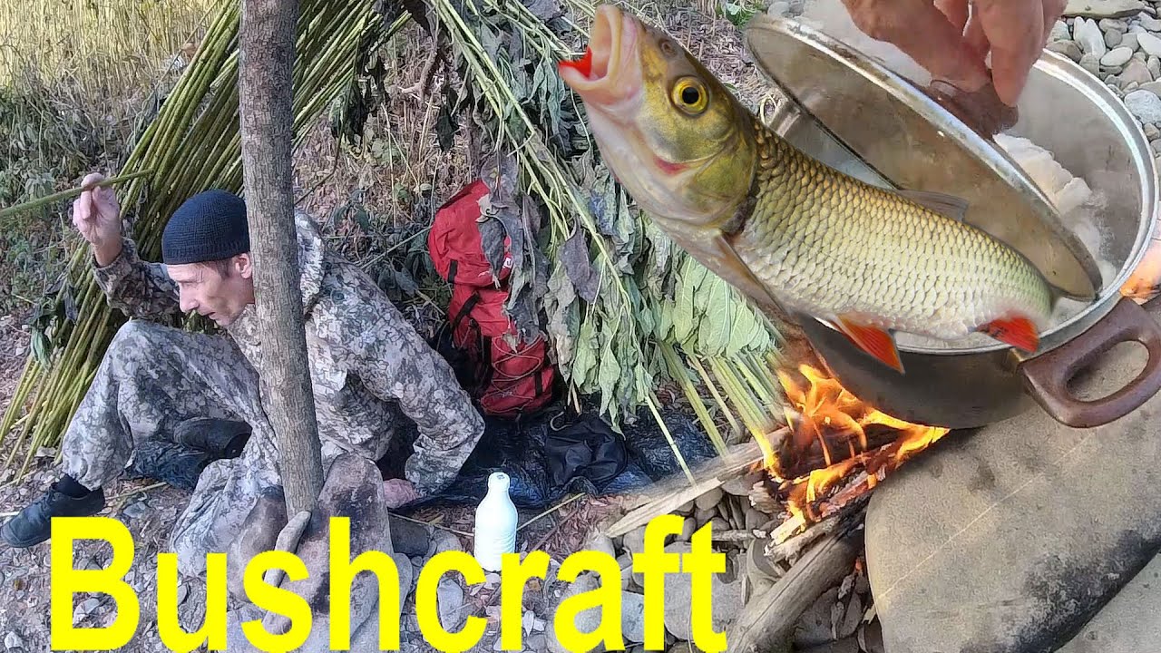 Survival Shelter. Fish Trap. Cooking Fish Wild Outdoors 🔥 Solo ...