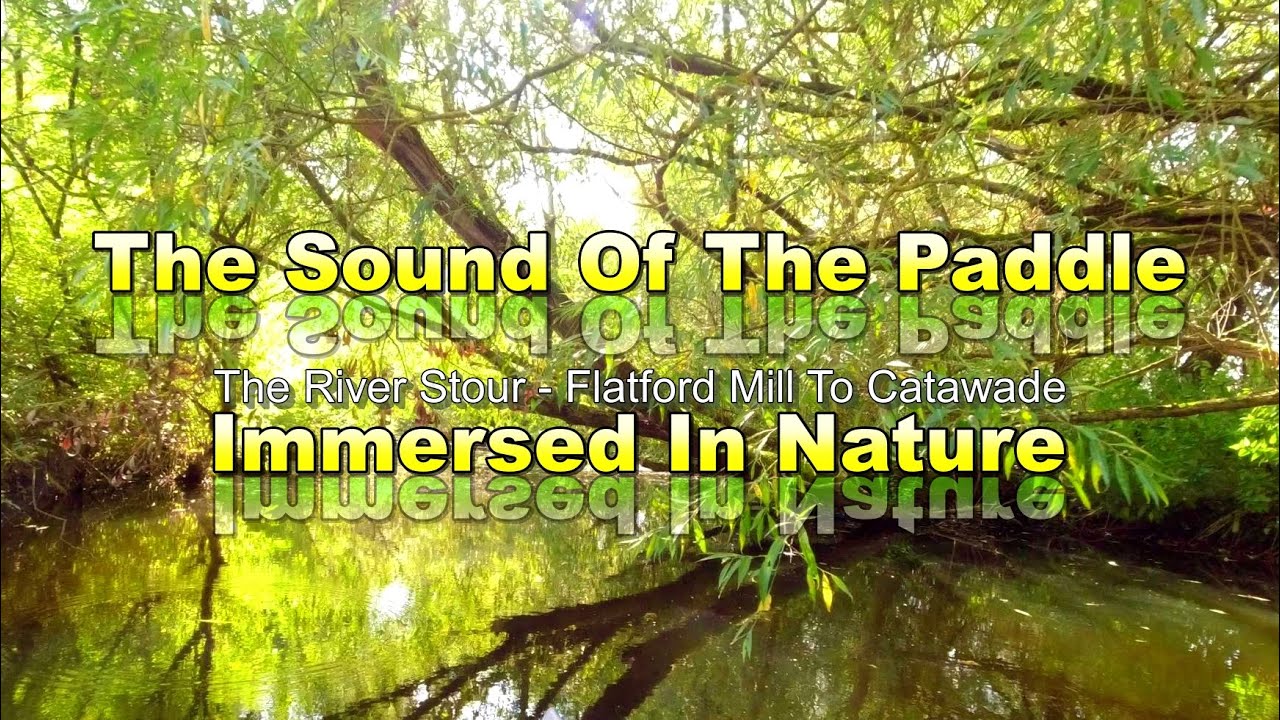 The Sound Of The Paddle Immersed In Nature (Limited Dialogue) - YouTube