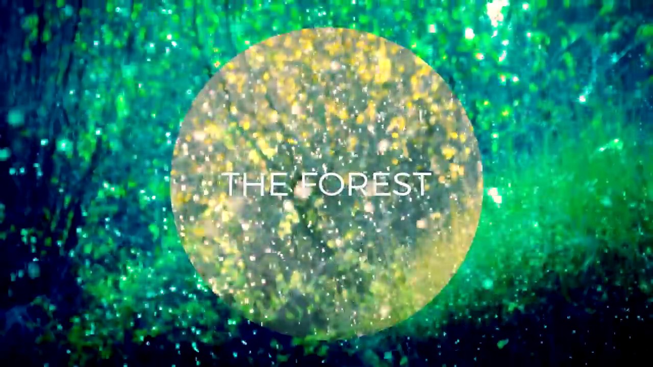 Forest Sound Effects Library - YouTube