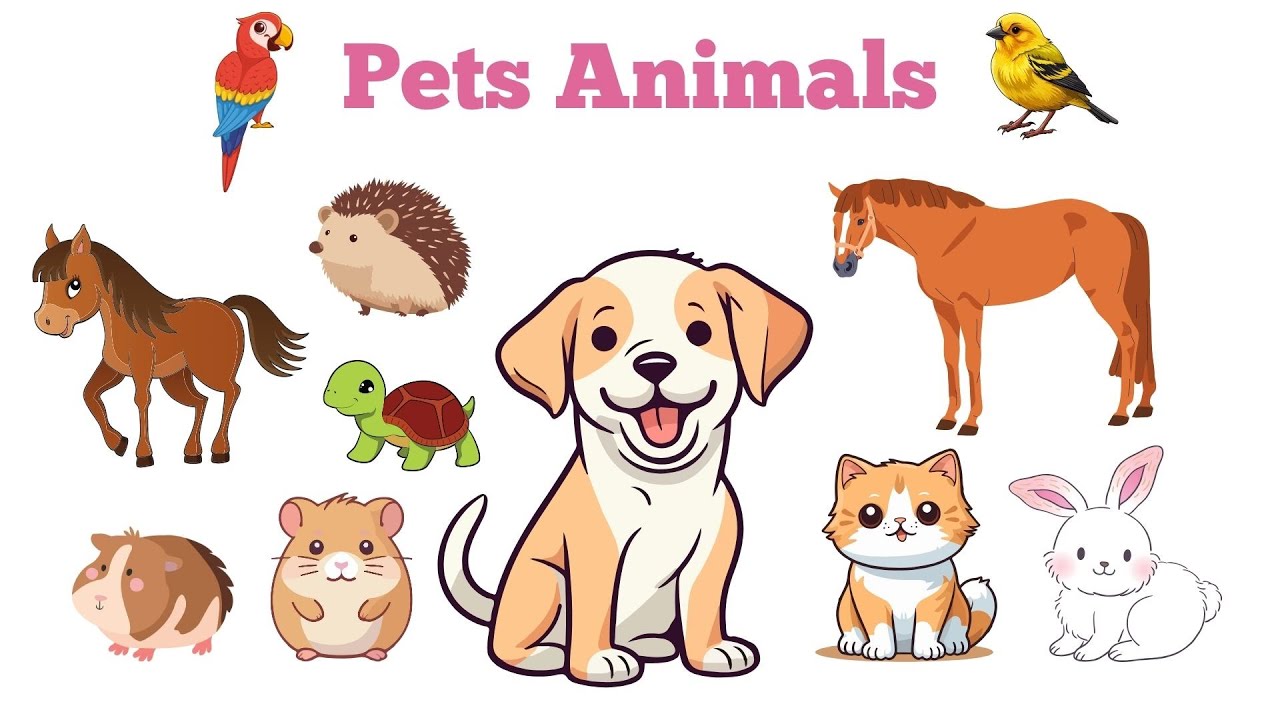 Dog, Cat, Rabbit and More! Pets Animals Vocabulary for Toddlers 🐶, 🐱, 🐇 ...