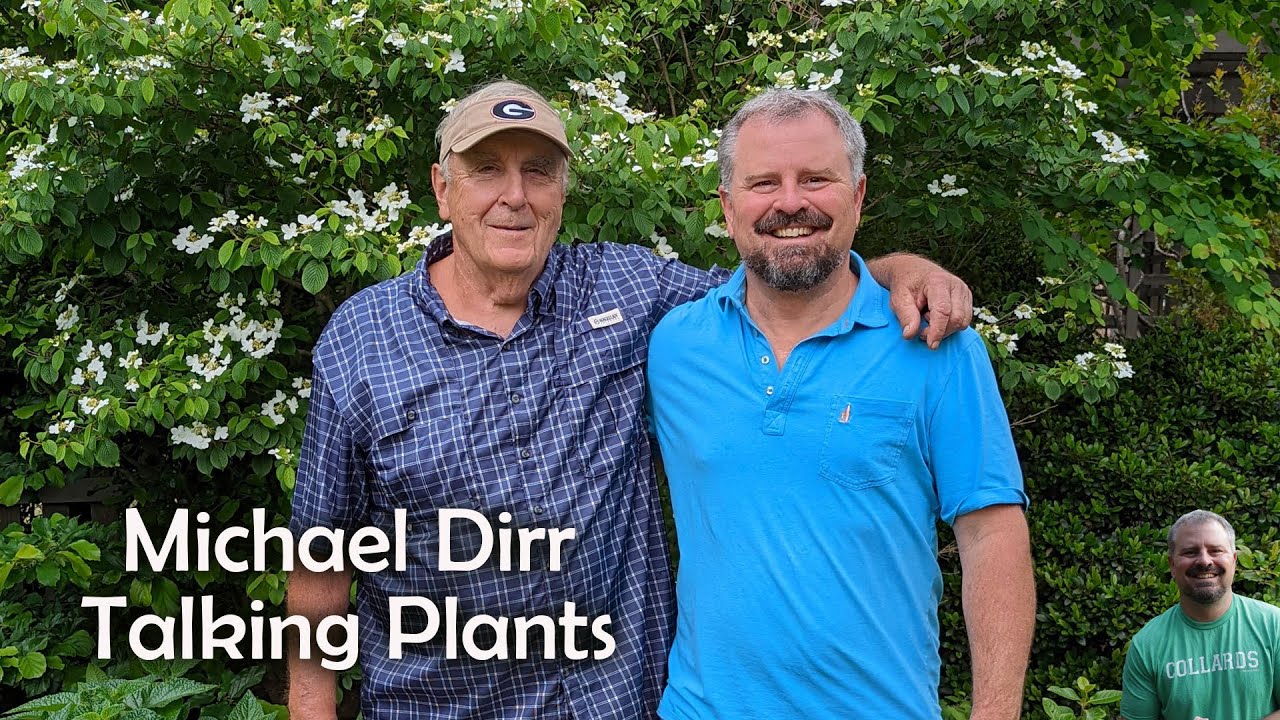 Garden Tour with Dr. Michael Dirr - Viburnum, Japanese Maples, Dogwoods ...