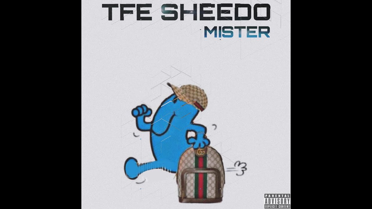 TFE Sheedo - Mister (Official Audio) - YouTube