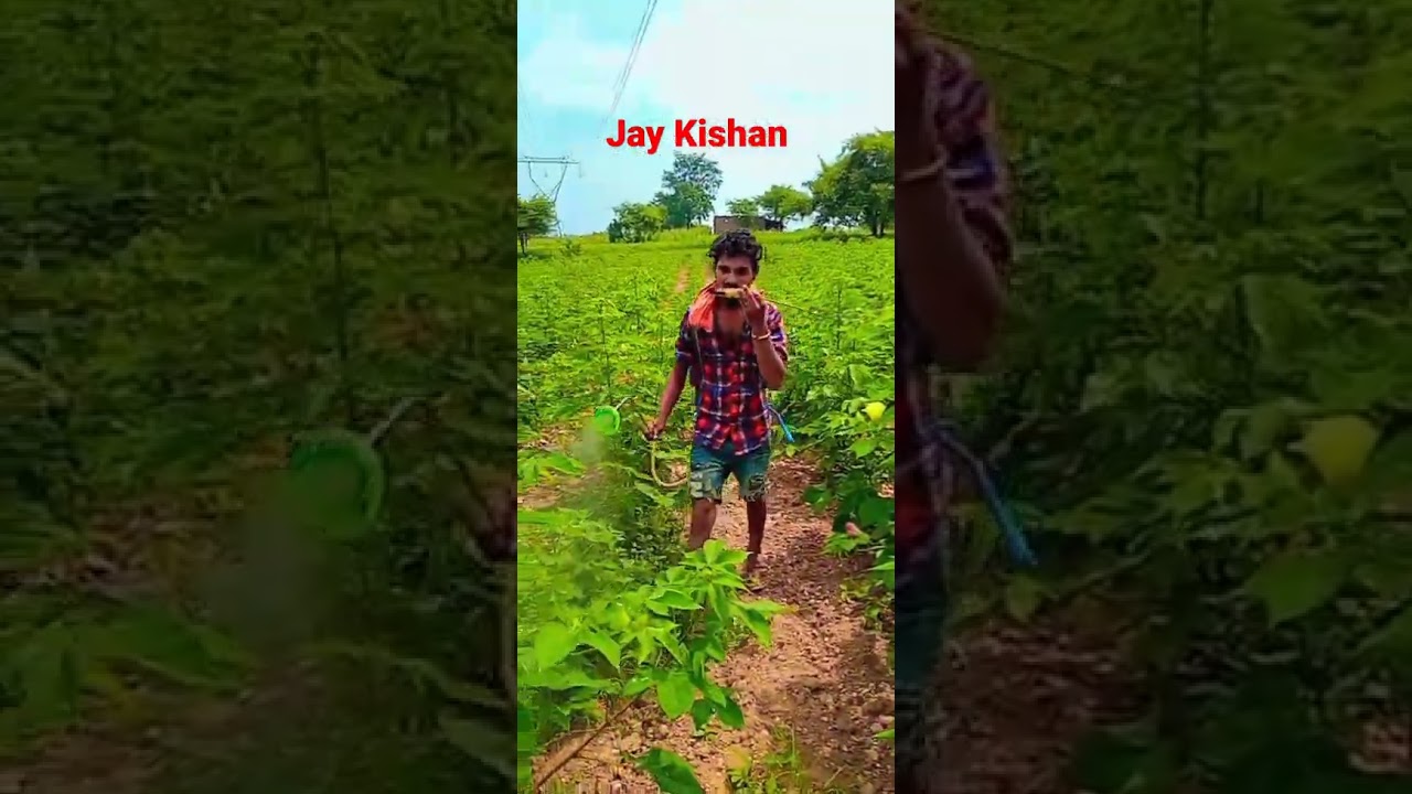 Jay Jawan Jay kisan 🌾🌾 - YouTube