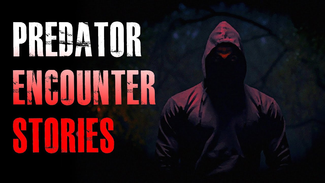 3 TRUE Creepy Predator Encounter Stories | True Scary Stories - YouTube