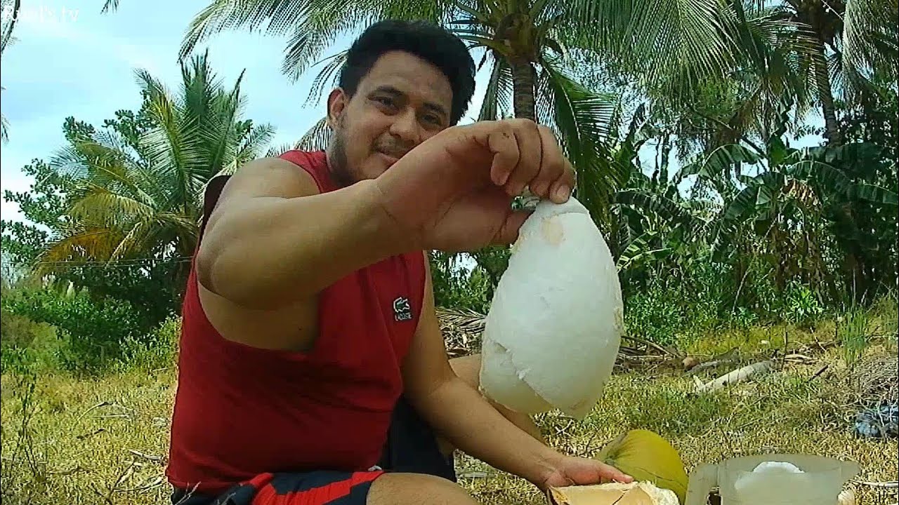 fresh buko |buhay probinsya|RUEL'S TV|ep4 - YouTube