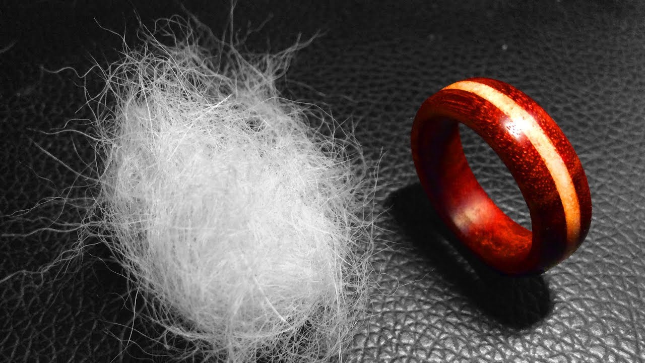 Dog hair inlaid wood ring, special item - YouTube