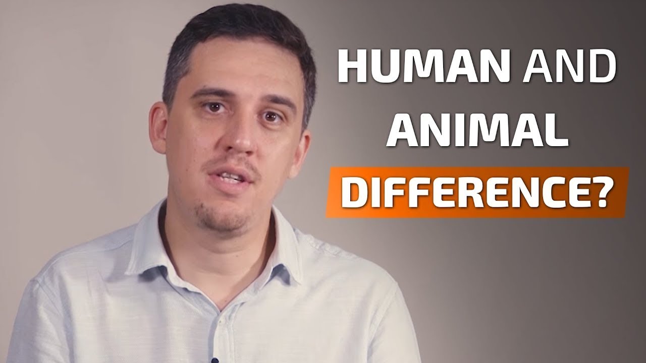 Difference Between A Human And An Animal How Special Are You - YouTube