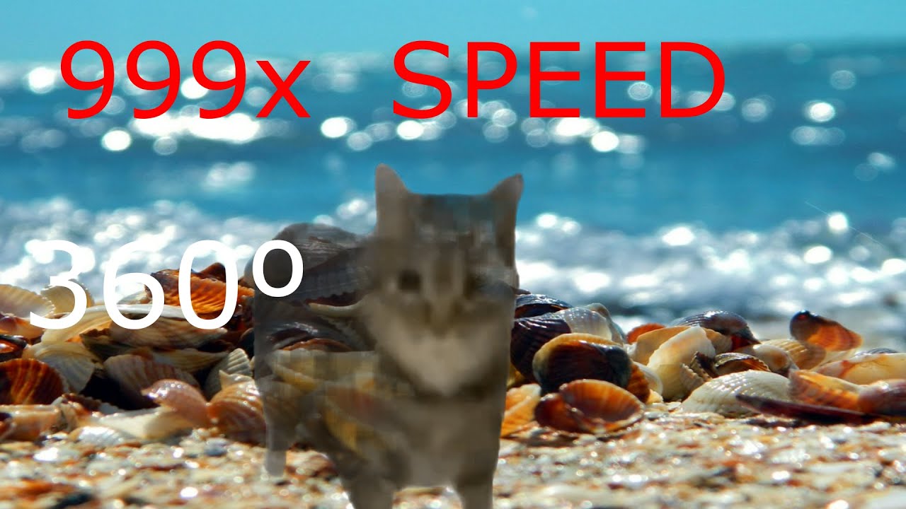 Oiiaoiia cat original vs 999x speed spinning cat meme 360º - YouTube