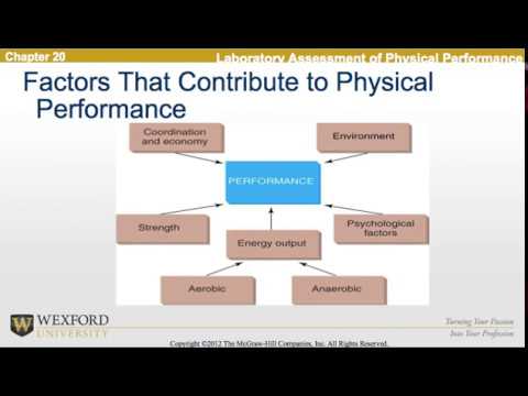 Testing Human Performance in a Lab | Exercise Physiology - YouTube