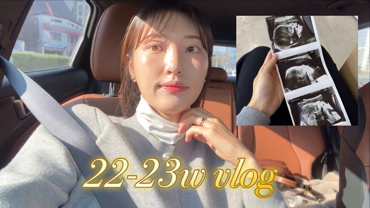 임신vlog 22주차 정밀 초음파ㅣ콩팥 추적 관찰ㅣ미스치프 전시회ㅣ반찬 만들기ㅣ집밥 브이로그 Youtube