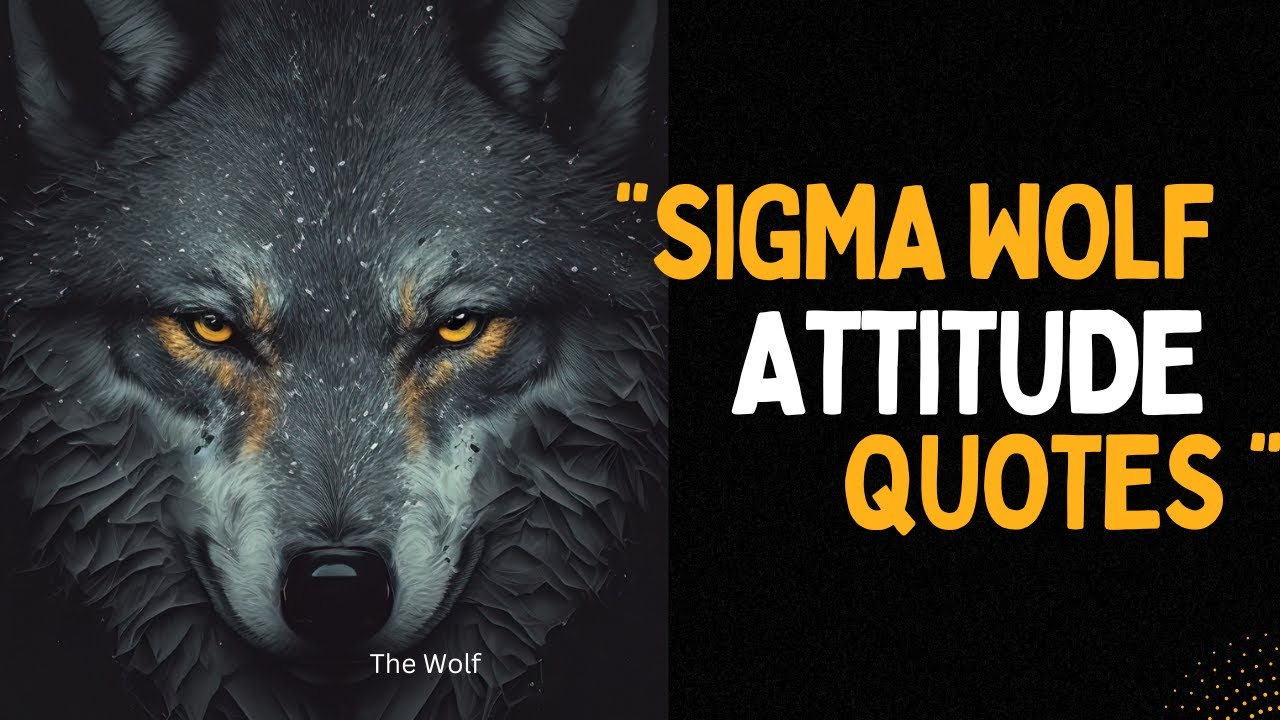 The Sigma lone wolf attitude quotes. #quotes #wolf #sigmaattitude - YouTube