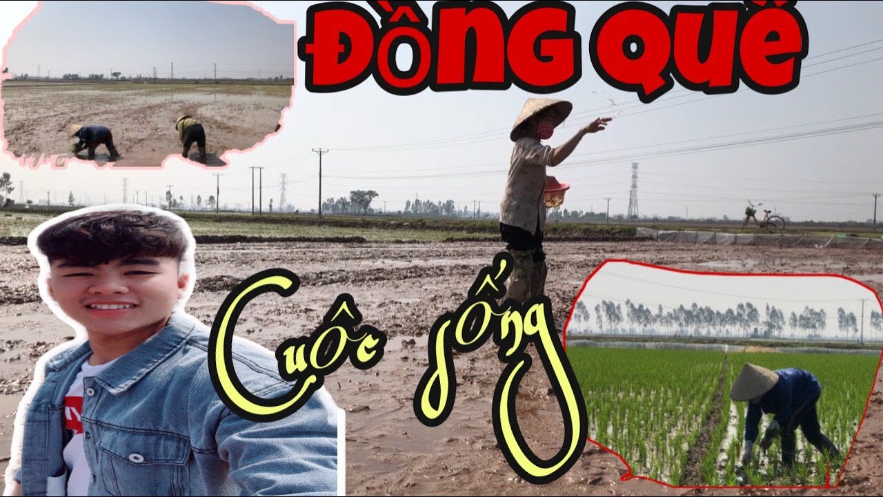 CẢNH ĐẸP VÀ CUỘC SỐNG ĐỒNG QUÊ TÔI VÀO MÙA CẤY /Beautiful Scenery And ...