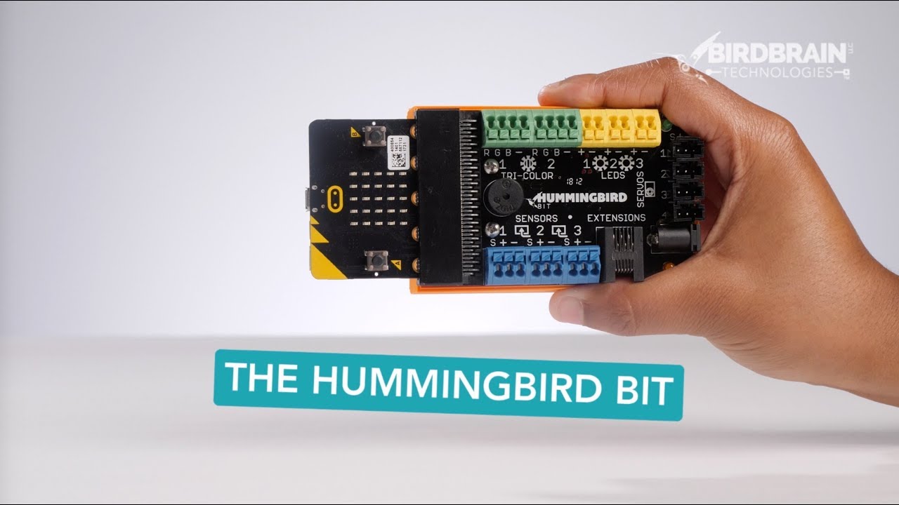 The Hummingbird Bit - YouTube