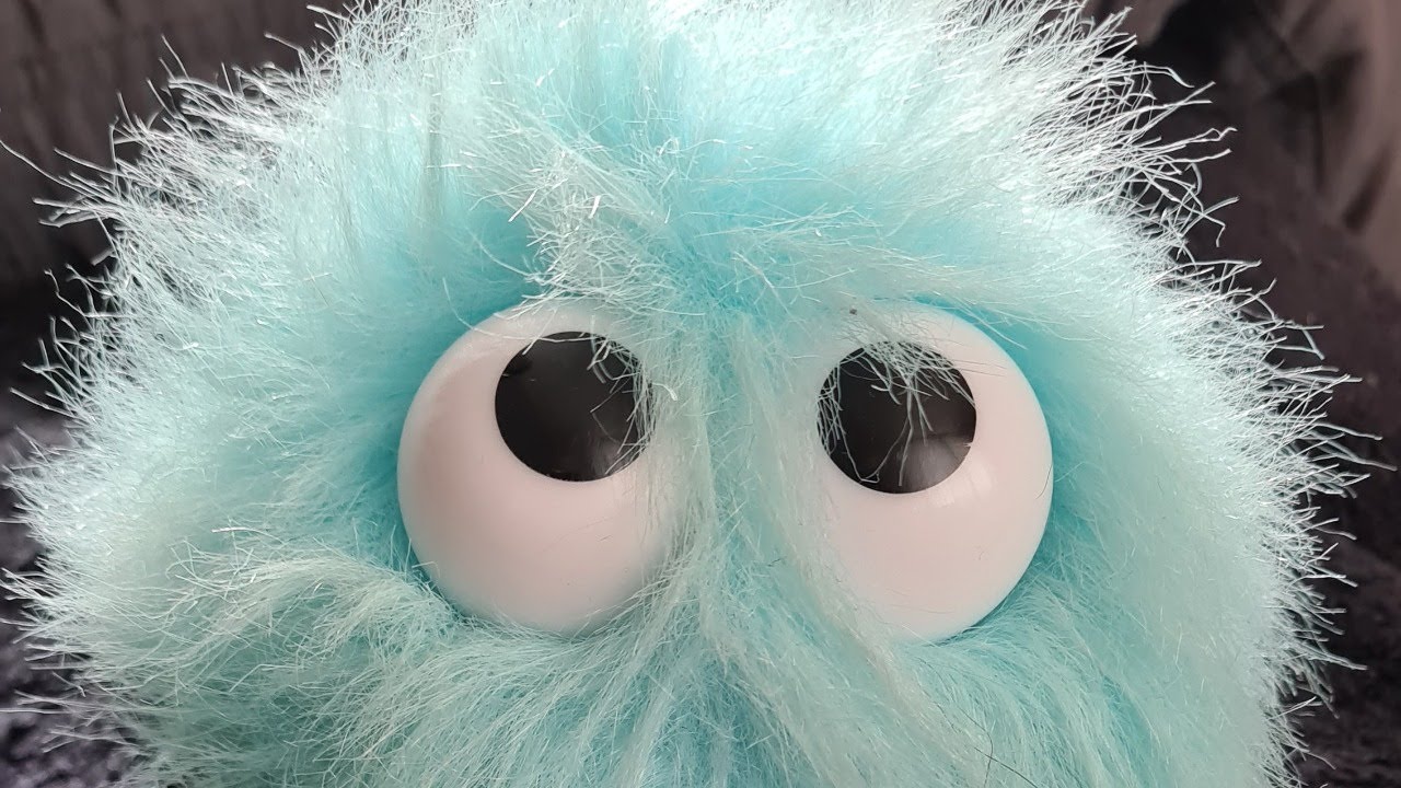 LIVE AUCTION FLUFFY STYLE - YouTube