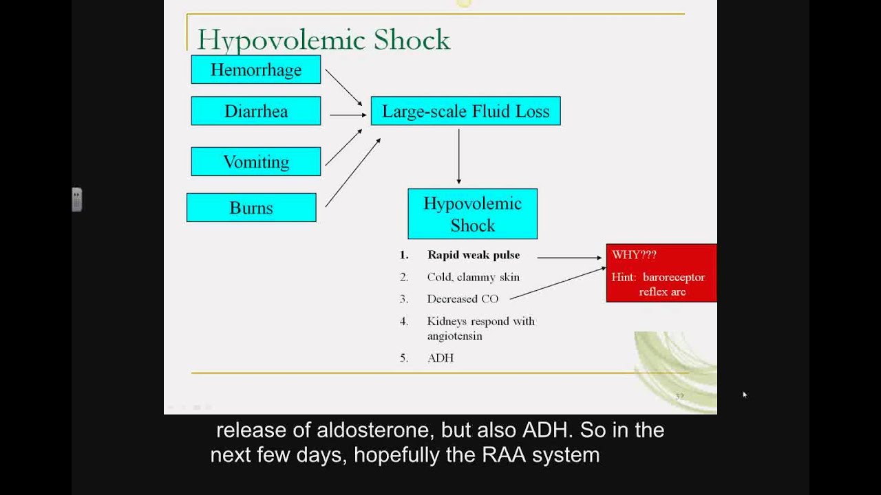CVS problems part B - YouTube