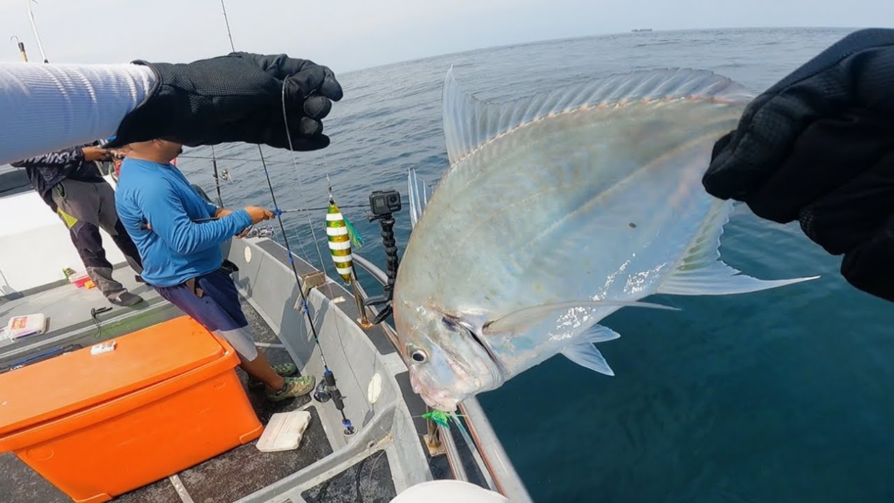 Teknik Slow Jigging Memang Sesuai Untuk Menjerat Ikan Dasar Shimano ...