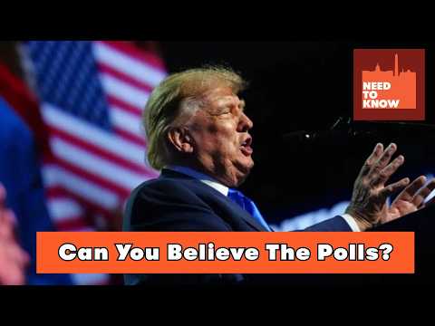 Can You Believe the Polls?