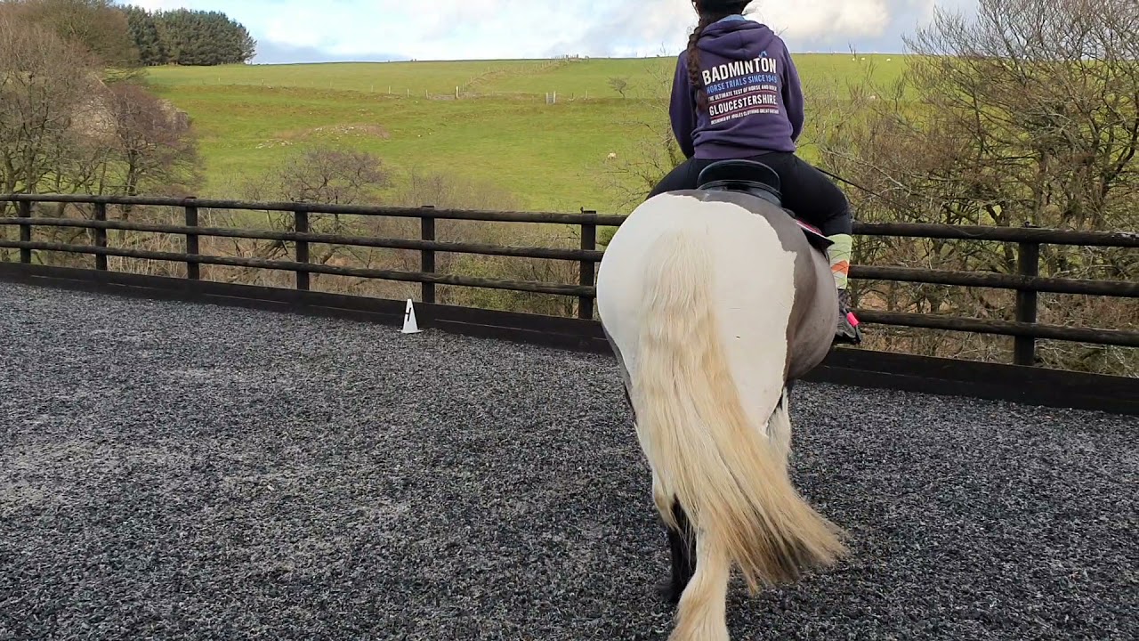 Prelim 13 - RVRC November Online Dressage - YouTube