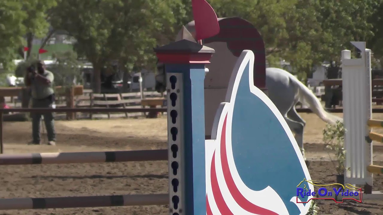 135S Stephanie Simard on Roosevelt SR Training AM Show Jumping Twin ...