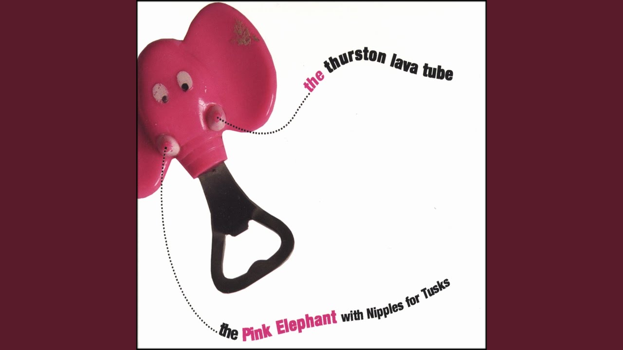 Oh, What Happened to the Poor Bear? - YouTube