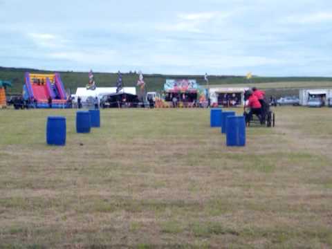 Horse Driving At Latheron Show 2010