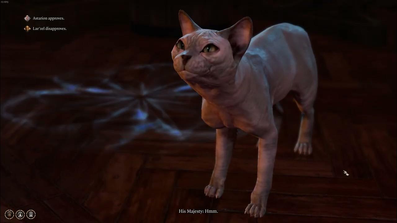 "HISS I SAY" | Baldur's Gate 3 - YouTube