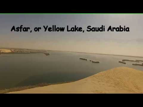 Yellow Lake or Asfar Lake AlHasa Saudi Arabia - YouTube