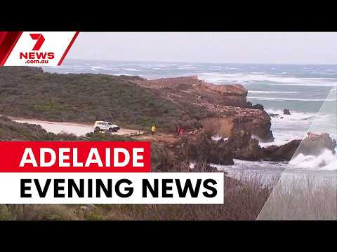 Port MacDonnell tragedy; distracted driver jailed; wild bird virus detected | 7NEWS