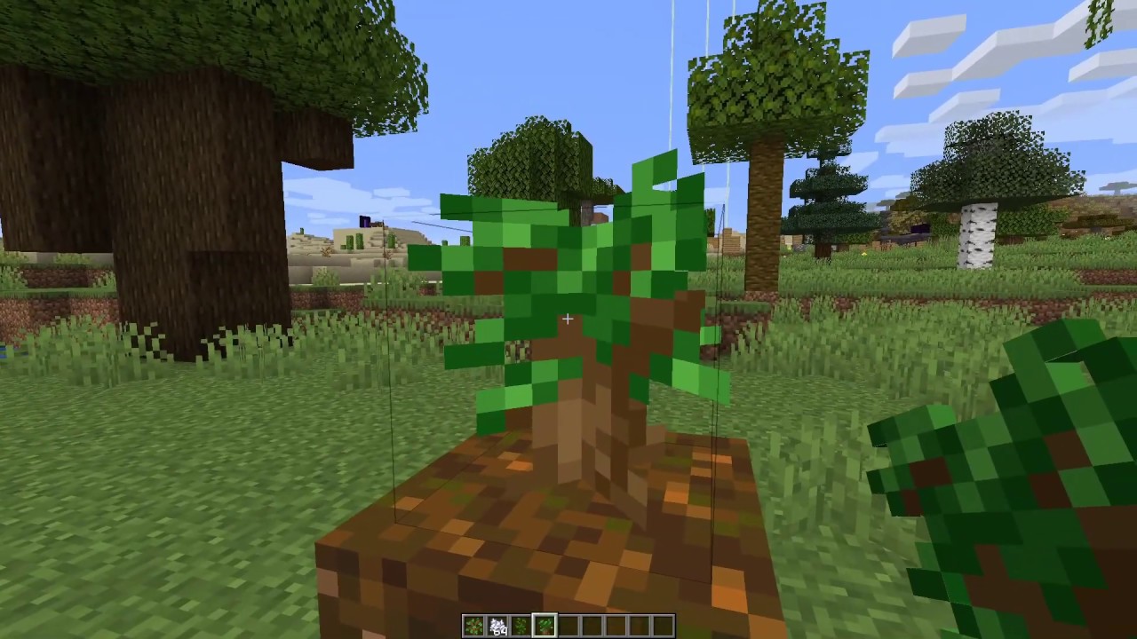 COMO PLANTAR ARBOLES Y COMO SE CONSIGUEN LOS BROTES - YouTube