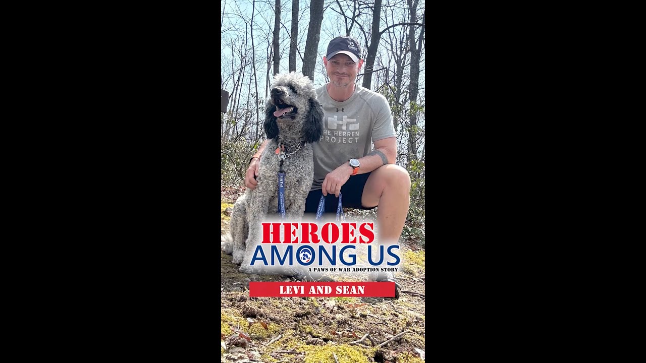 Heroes Among Us - Army Veteran Adopts a Dog From Paws of War to Help ...