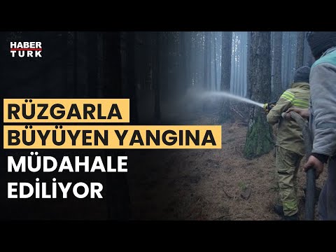 Kaz Dağları'nda yangın çıktı