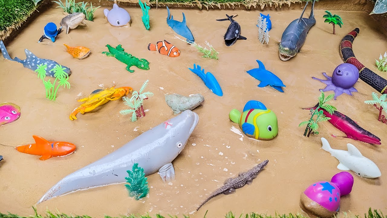 Big Snake Big Whale Stuck In Sandbox Dolphin Big Octopus Sea Animals ...