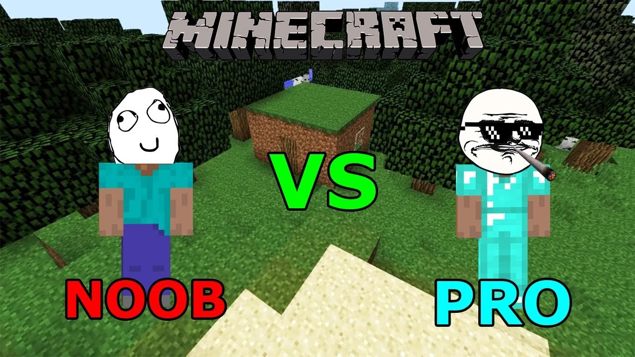 MINECRAFT - NOOB VS PRO (2015) - YouTube